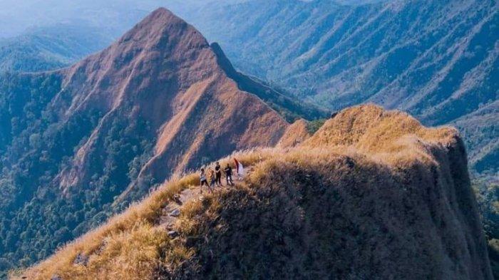 Misteri Gunung Piramid, Kisah Duka Pendaki Multazam dan Thoriq di ...