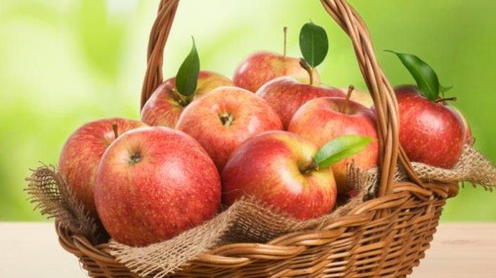 Arti Mimpi Apel, Berbahagialah Saat Memimpikan Tanaman Apel - Tribun ...