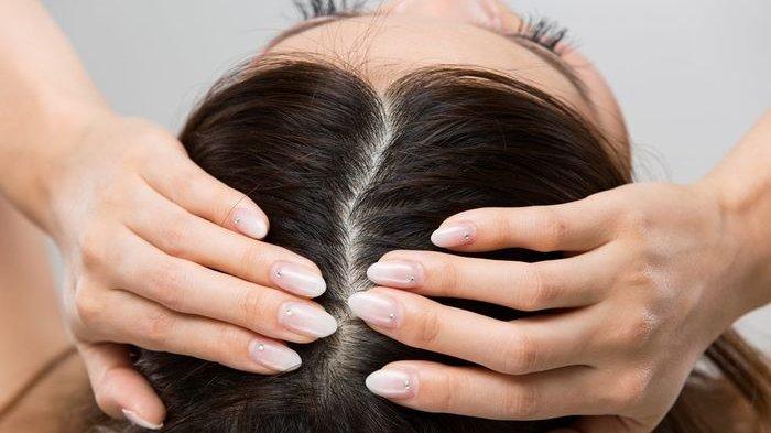Tak Perlu ke Salon, 11 Cara Merawat Rambut Kering dan Rusak yang Bisa ...