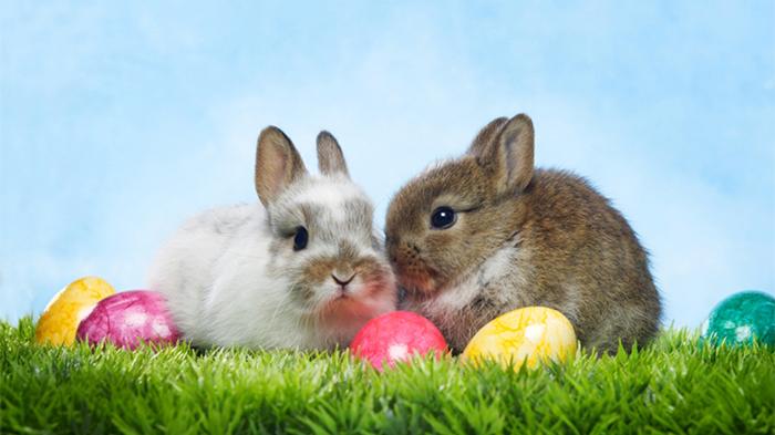 Ini 10 Simbol Paskah dan Artinya - Tribun-bali.com