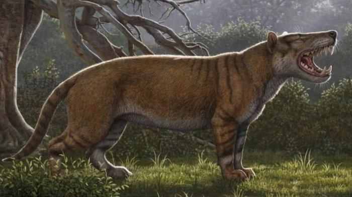 Ditemukan Fosil Singa Raksasa Bertahun 1970-an yang Telah Punah di Laci ...