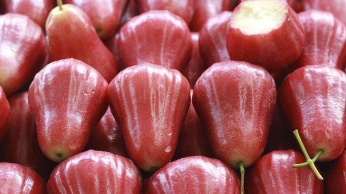 Bisa Cegah Berbagai Penyakit Mematikan, Ini Deretan Manfaat Jambu Air ...