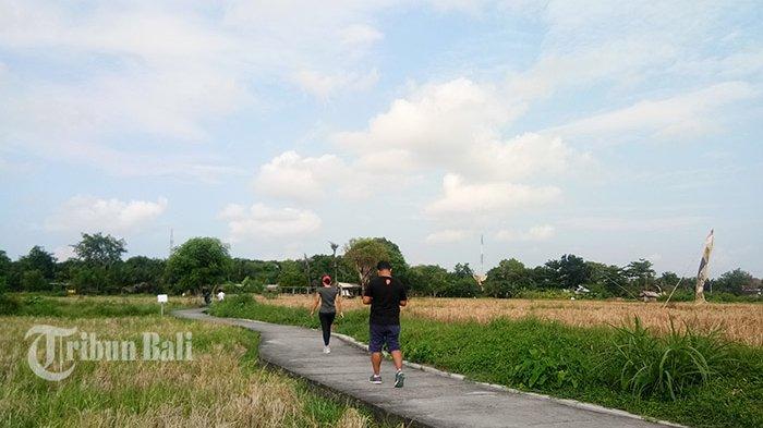 Jogging Track Ini Hadirkan Pengalaman Jogging dengan Pemandangan Sawah ...