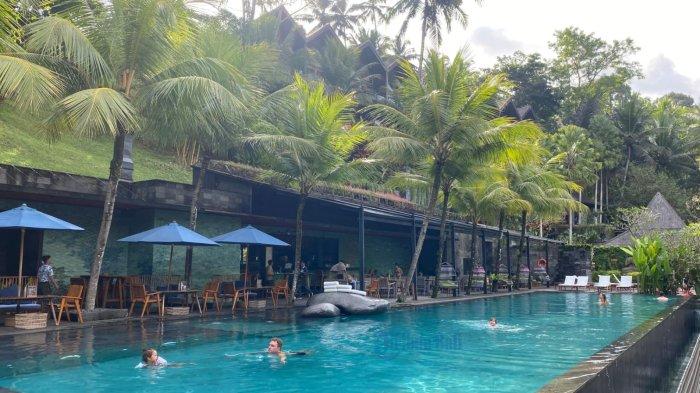 Private Pool Club di Gianyar, Jungle Fish Bali Hadirkan View Hutan Ubud ...