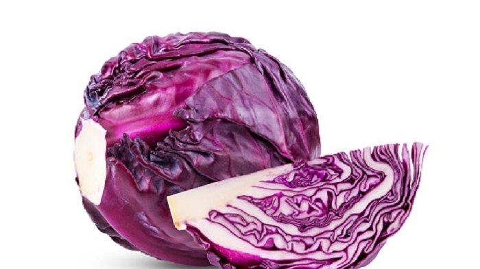 Khasiat Kol Ungu Bagi Kesehatan, Bisa Melindungi dari Kanker hingga ...