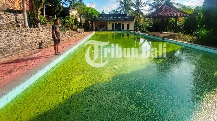Cerita Arya Candra, Pemilik Kolam Renang di Tabanan, Kolamnya Kini Dijadikan Ternak Nila dan ...