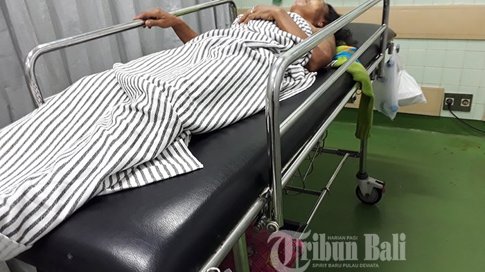 Pohon Berusia Lebih Dari 100 Tahun Tumbang Menimpa Pasar Intaran Sanur ...