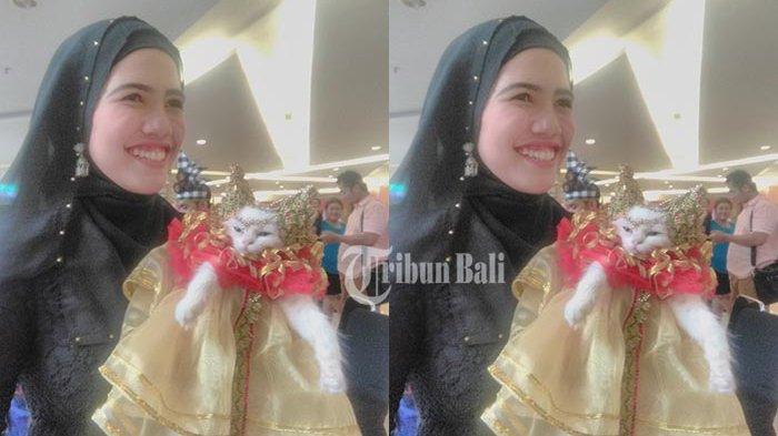 Dari Minang hingga Bali, Ini Deretan Foto Lucu Kucing Berkostum ...