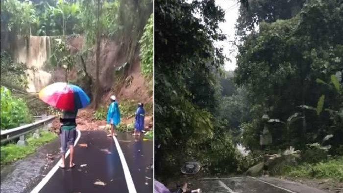 Hujan Deras Sejak Semalam, Longsor dan Pohon Tumbang di Dua Jalan Berbeda di Payangan Gianyar ...