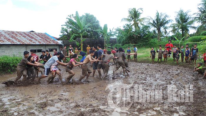BPNB Bali Kaji Tradisi Megoak-Goakan Dari Desa Panji Buleleng - Tribun ...