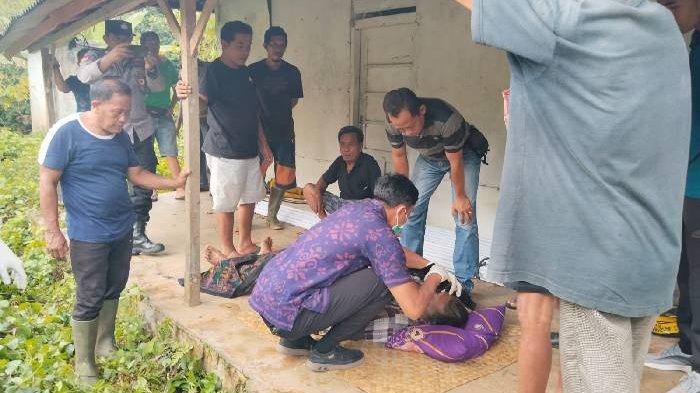Petani Ditemukan Meninggal Dunia di Pinggir Jalan, Diduga Penyakit Kambuh Saat Hendak Ke Kebun ...