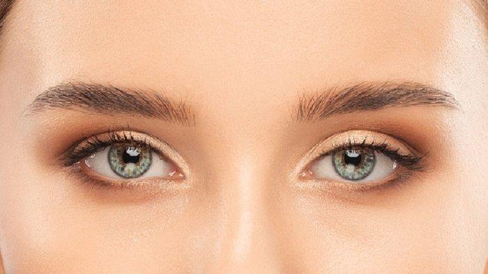 Cara Tebalkan Alis Mata dengan Bahan Alami, Bisa Gunakan Minyak Kelapa ...