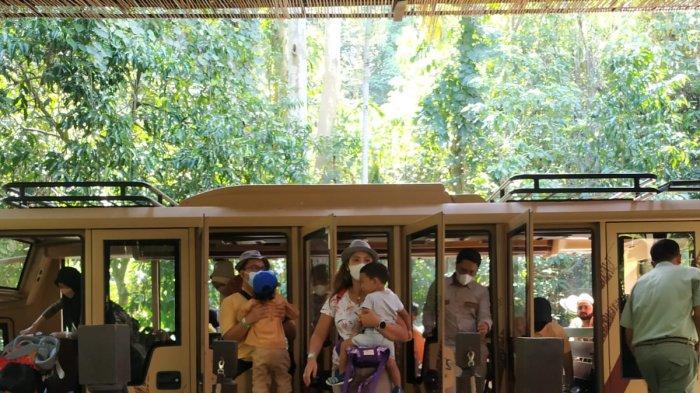 Bali Safari Park Ramai Dipadati Wisatawan Saat Umanis Galungan, Capai 1.000 Pengunjung - Tribun ...