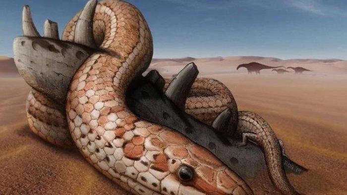 Penemuan Terbaru: Ular Purba Punya Kaki, Peneliti Ungkap Fosil Ini ...