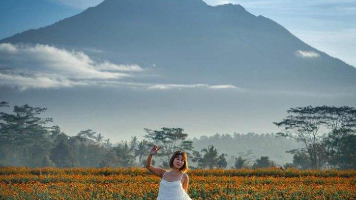 BAKAS, Desa Wisata Panorama Indah Gunung Agung dan Kebun Gumitir di ...