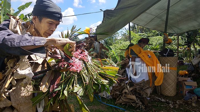 Penari Gunakan Keraras hingga Kain Kasa, 'Baris Memedi' Tarian ...