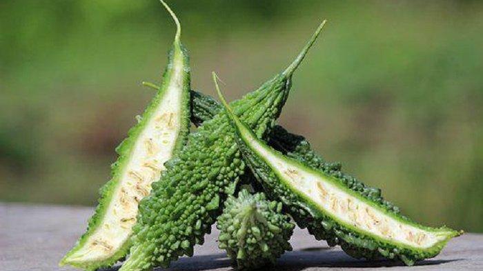 Meski Pahit, Ternyata Pare Bisa Turunkan Gula Darah Lho, Catat Caranya ...