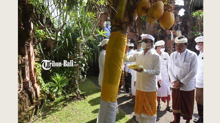 Perayaan Tumpek Wariga di Denpasar, Aturkan Bubur Sumsum hingga ...