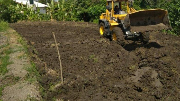 Dalung Siapkan Lahan Seluas 27 Are - Tribun-bali.com