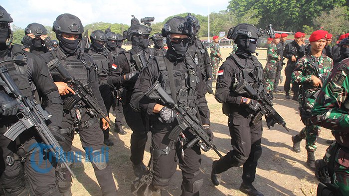 Pasukan Komando Operasi Khusus Diresmikan Panglima TNI: Ini Merupakan ...