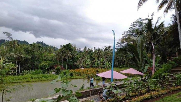 Petapan Park Mulai Ramai Dikunjungi Wisdom, Desa Aan Matangkan Konsep ...