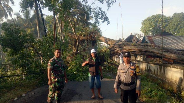Waspada Bencana Pohon Tumbang dan Tanah Longsor saat Musim Hujan, BPBD Gianyar Beri Peringatan ...