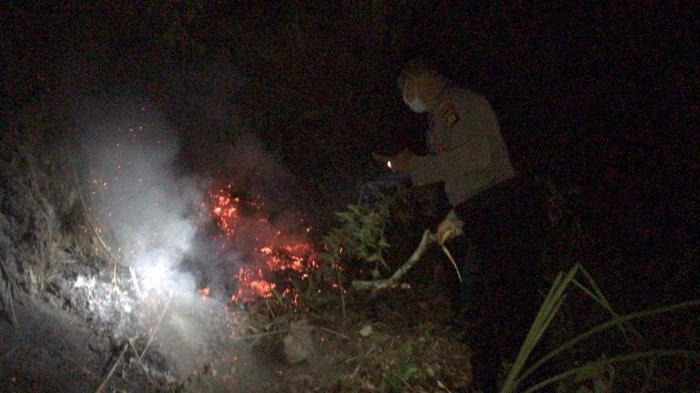Kawasan Hutan Konservasi Gunung Batur Bukit Payang Kebakaran, Upaya ...