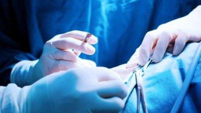 Mengenal Kebiri serta Efek yang Dihasilkan - Tribun-bali.com