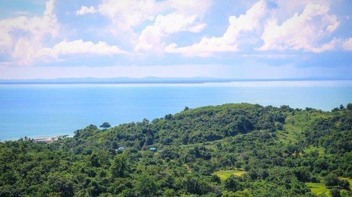 Dihuni Buaya Air Asin, Pulau Ramree Menjadi Tempat Paling Berbahaya di ...