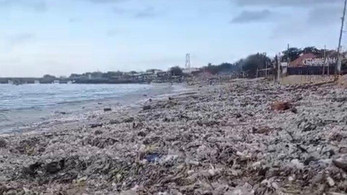 KAGET & Kecewa Berat, Turis Lihat Tumpukan Sampah di Pantai Kuta, di Pantai Kedonganan Capai 80 ...