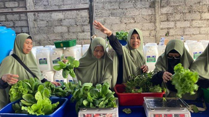 Urban Farming Desa Padangsambian Klod Dijadikan Contoh, BRI Serahkan ...