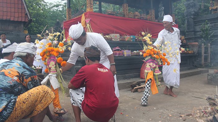 Ritual Sang Hyang Sampat untuk Tanaman, Sudah Ada Sejak Zaman Pra Hindu ...