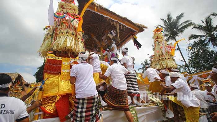 Setelah 50 Tahun, Desa Pakraman Tegallalang Kembali Gelar Ritual Tawur ...