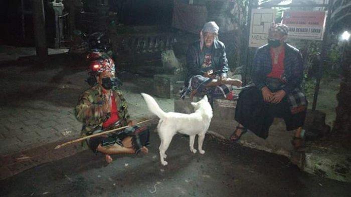 Hasil Kerja Satgas Gotong Royong Desa Adat Sayan Gianyar Berbuah Manis ...