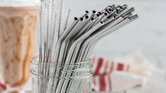 Penggunaan Sedotan Stainless Steel, Amankah? - Tribun-bali.com