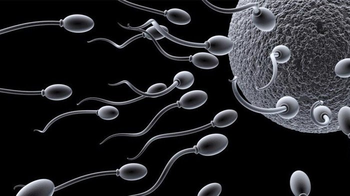 Apakah Sehat Bagi Pria Mengeluarkan Sperma Setiap Hari? Begini Kata Ahli - Tribun-bali.com