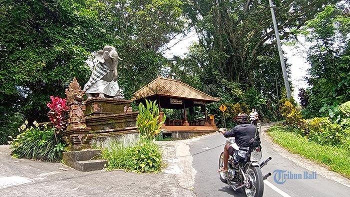 Pernah Ada 2000 Wisatawan Berkunjung, Kini Desa Wisata Pinge Tabanan ...