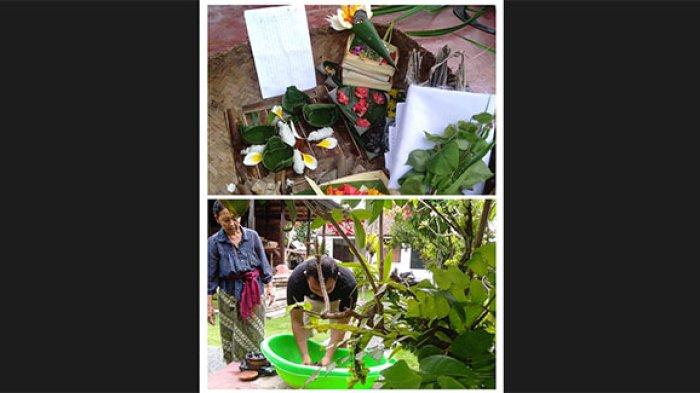 Berikut Upacara untuk Ari-ari Bayi Baru Lahir - Tribun-bali.com