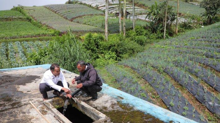 Kasus Stunting Fluktuatif, Gianyar Perkuat Ketahanan Pangan Rumah ...