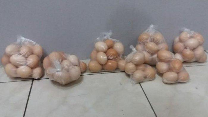 Telur Infertil Layak Konsumsi, Tapi Cepat Membusuk, Ini Penjelasan ...