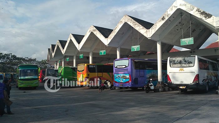 135 Bus Berangkat ke Jawa dari Terminal Mengwi Pasca Penutupan Bandara ...