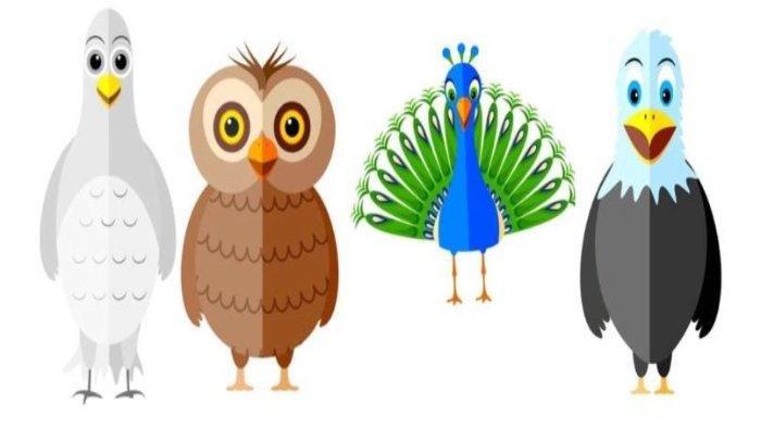 Tes Kepribadian: Pilih Satu Burung, Ungkap Sifat Baik dan Burukmu ...