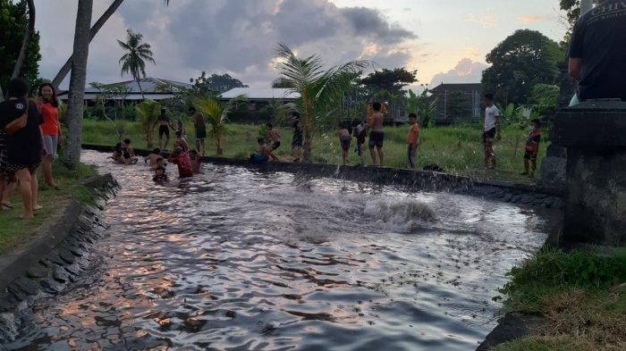 Tradisi Macandu Saat Umanis Galungan di Banjar Dualang Denpasar, Saling ...