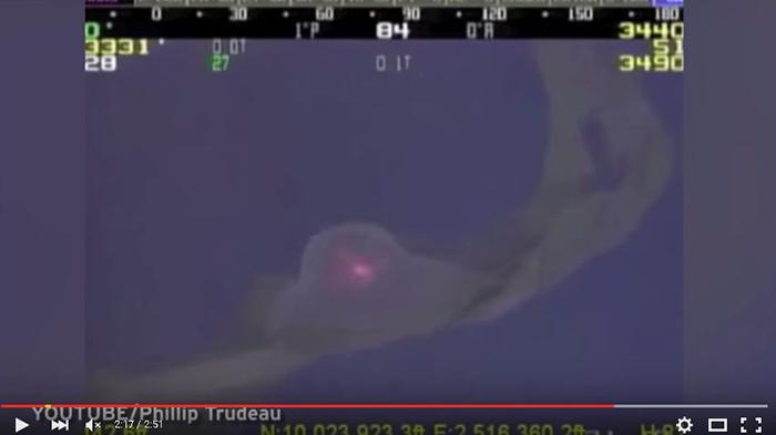 Inilah Penampakan Ubur-ubur Raksasa dari Laut Dalam - Tribun-bali.com