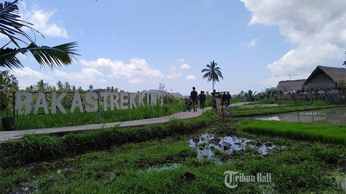 Wabup Made Kasta Dorong Perkembangan Pokdarwis Desa Bakas - Tribun-bali.com