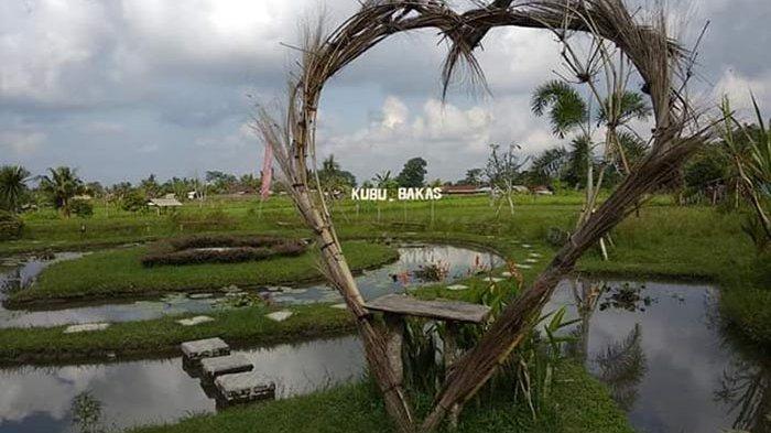 Geliat Wisata di Desa Bakas Klungkung, Tawarkan Hamparan Sawah dan Spot ...