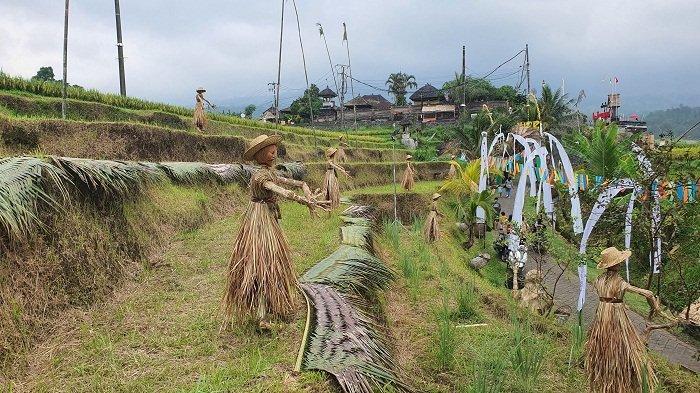 Subak Spirit Festival, Dimaknai Sawah Sebagai Jantung Kehidupan ...