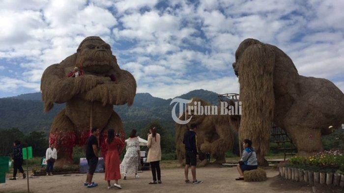 Patung King Kong Raksasa Jadi Spot Foto Instagramable di Chiang Mai ...