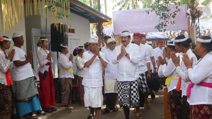 Koster Apresiasi Odalan Khusus Kelapa, Hadiri Karya Ngusaba Nyuh di ...
