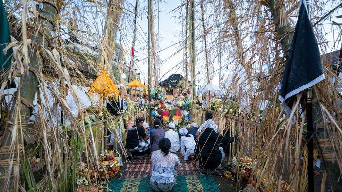 Ratusan Krama Naik Ayunan Berbahan Bambu Dalam Rangkaian Ngusaba Sambah ...
